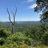 Old Loggers Path, Pennsylvania - 683 Reviews, Map | AllTrails