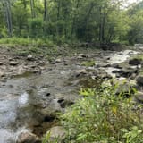 Old Loggers Path, Pennsylvania - 683 Reviews, Map | AllTrails