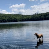 Boston Lot Lake, New Hampshire - 760 Reviews, Map | AllTrails