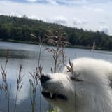 Boston Lot Lake, New Hampshire - 760 Reviews, Map | AllTrails