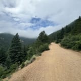 Seven Bridges Trail, Colorado - 7,711 Reviews, Map | AllTrails