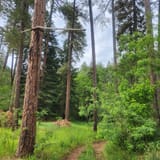 Bear Wallow Spring, Arizona - 391 Reviews, Map | AllTrails