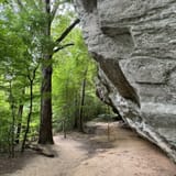 Raven Rock Loop Trail, North Carolina - 2,689 Reviews, Map | AllTrails