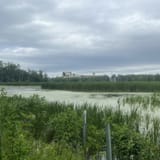 Tifft Nature Preserve Trail, New York - 699 Reviews, Map | AllTrails