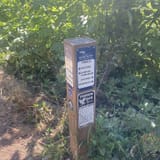 Mount Sutro Loop, California - 2,534 Reviews, Map | AllTrails