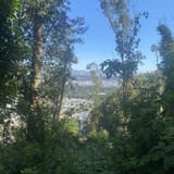 Mount Sutro Loop, California - 2,534 Reviews, Map | AllTrails