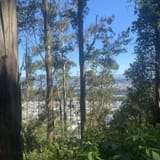 Mount Sutro Loop, California - 2,534 Reviews, Map | AllTrails