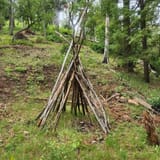 Bear Wallow Spring, Arizona - 391 Reviews, Map | AllTrails