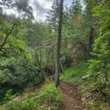 Bear Wallow Spring, Arizona - 391 Reviews, Map | AllTrails