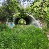 Bear Wallow Spring, Arizona - 391 Reviews, Map | AllTrails