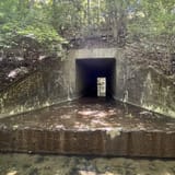 Farmdale Recreation Area Trail, Illinois - 969 Reviews, Map | AllTrails