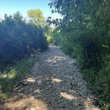 Farmdale Recreation Area Trail, Illinois - 969 Reviews, Map | AllTrails