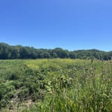 Farmdale Recreation Area Trail, Illinois - 969 Reviews, Map | AllTrails