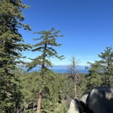 Van Sickle Loop, California - 717 Reviews, Map | AllTrails