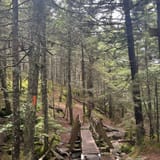 Mount Cardigan Loop Trail, New Hampshire - 2,190 Reviews, Map | AllTrails