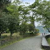 Furnas Lagoon Trail, Azores, Portugal - 514 Reviews, Map | AllTrails