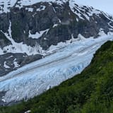 Harding Icefield Trail, Alaska - 3,105 Reviews, Map | AllTrails