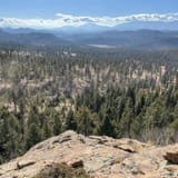 Mount Flora Trail, Colorado - 3,978 Reviews, Map | AllTrails