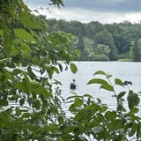 Mogadore Reservoir via Buckeye Trail, Ohio - 499 Reviews, Map | AllTrails