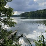 Mogadore Reservoir via Buckeye Trail, Ohio - 499 Reviews, Map | AllTrails