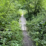 Mogadore Reservoir via Buckeye Trail, Ohio - 499 Reviews, Map | AllTrails