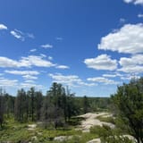 Blueberry Rock, Manitoba, Canada - 245 Reviews, Map | AllTrails