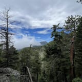 Cheyenne Mountain via Talon and Dixon Trail, Colorado - 819 Reviews ...