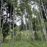 Cheyenne Mountain via Talon and Dixon Trail, Colorado - 819 Reviews ...