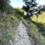 Inspiration Point, California - 3,743 Reviews, Map | AllTrails