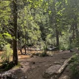 Seven Bridges Trail, Colorado - 7,711 Reviews, Map | AllTrails
