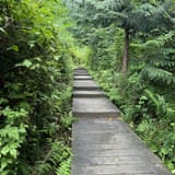 Sword Fern and Highline Trail, Washington - 243 Reviews, Map | AllTrails