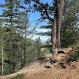 Raspberry Mountain Trail via Ring the Peak Trail, Colorado - 1,983 ...