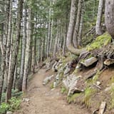 Ira Spring Memorial Trail, Washington - 2,290 Reviews, Map | AllTrails