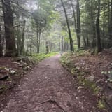Huckleberry Point Trail, New York - 1,849 Reviews, Map | AllTrails
