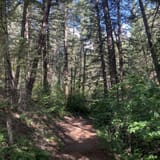 Walker Ranch Loop, Colorado - 4,858 Reviews, Map | AllTrails
