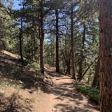 Walker Ranch Loop, Colorado - 4,858 Reviews, Map | AllTrails