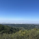 Cold Spring Loop, California - 2,462 Reviews, Map | AllTrails