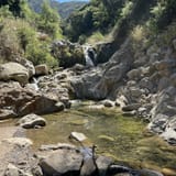 Cold Spring Loop, California - 2,462 Reviews, Map | AllTrails