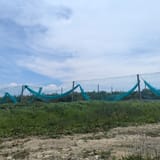 Swope Loop to Pine Hill, New Hampshire - 160 Reviews, Map | AllTrails