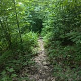 Swope Loop to Pine Hill, New Hampshire - 160 Reviews, Map | AllTrails