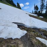 Tatoosh Ridge Trail, Washington - 389 Reviews, Map | AllTrails