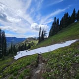 Tatoosh Ridge Trail, Washington - 389 Reviews, Map | AllTrails