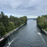 Foster Island Trail, Washington - 719 Reviews, Map | AllTrails
