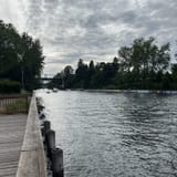 Foster Island Trail, Washington - 719 Reviews, Map | AllTrails