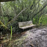 Foster Island Trail, Washington - 696 Reviews, Map | AllTrails