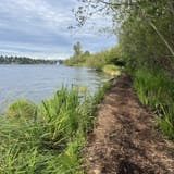 Foster Island Trail, Washington - 719 Reviews, Map | AllTrails
