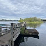 Foster Island Trail, Washington - 719 Reviews, Map | AllTrails