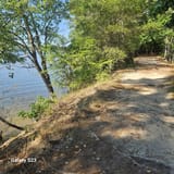 Harris Lake Peninsula Trail, North Carolina - 1,993 Reviews, Map ...