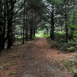 Bull Wheel to High Peter's Kill Trail, New York - 1,174 Reviews, Map ...