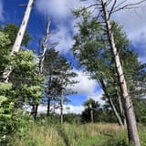 Ice Age Trail: Blue Spring Lake Segment, Wisconsin - 602 Reviews, Map ...